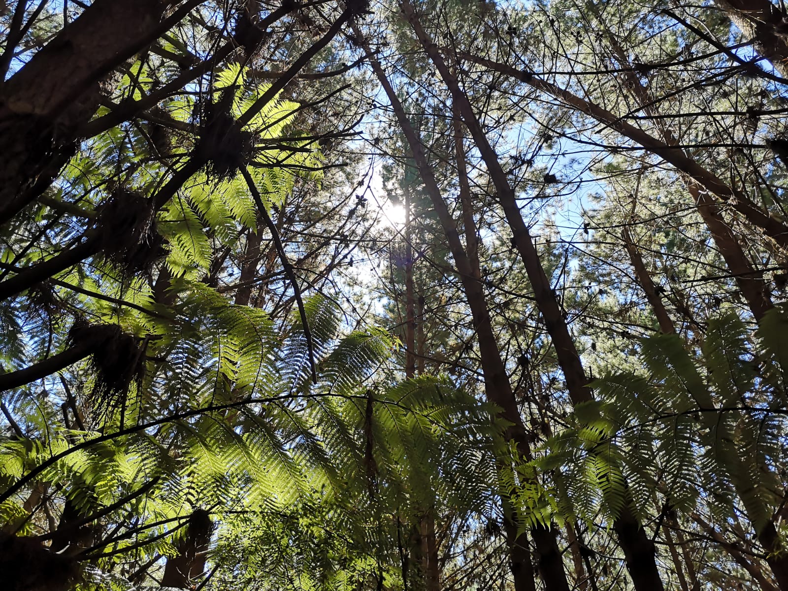 25 FAQs For Nic Johnson MTB Coach