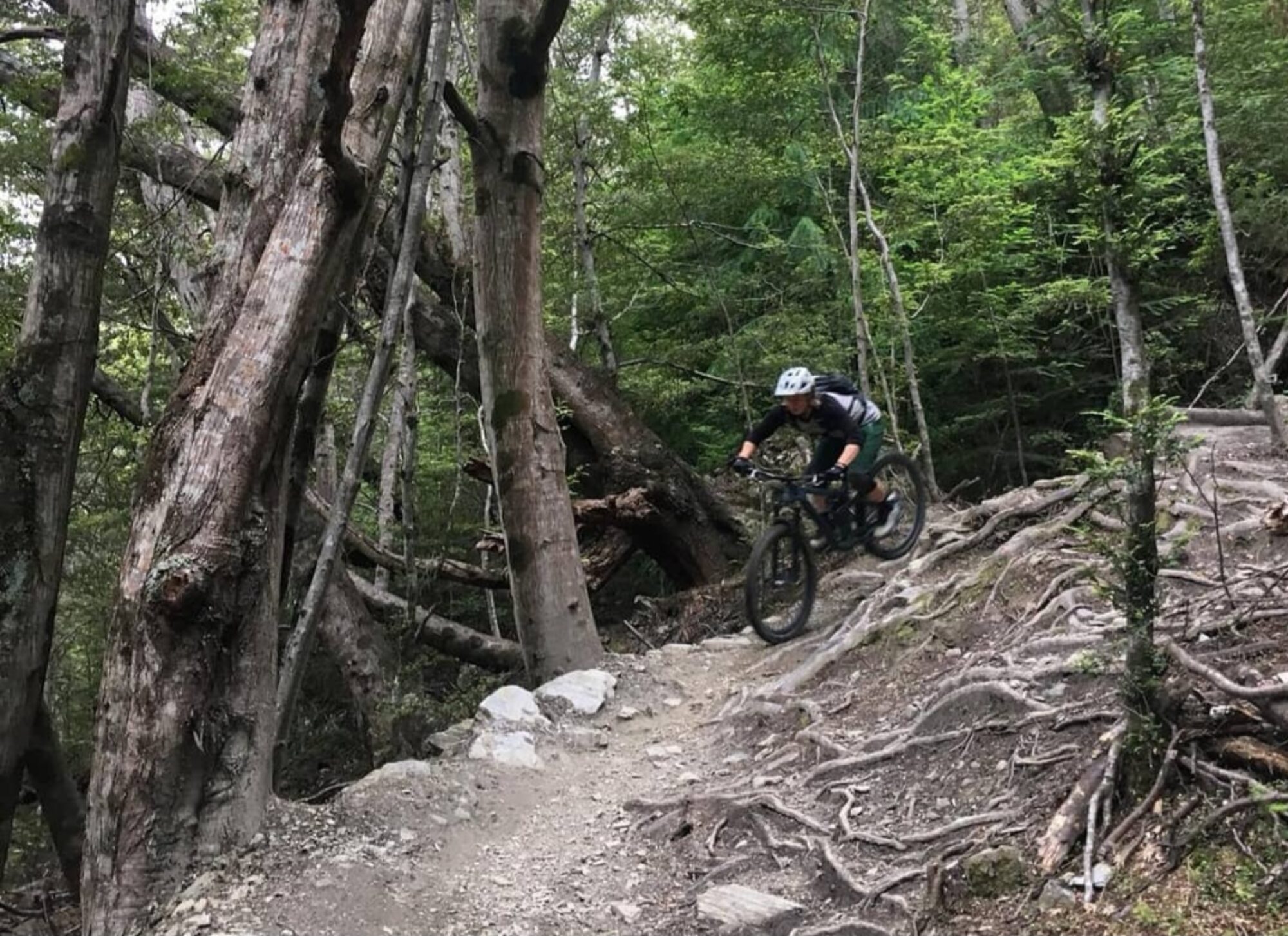 HOME Nic Johnson MTB Coach